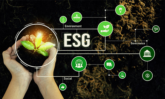 Accelerate Your Organization's ESG Sustainability Journey | Accely