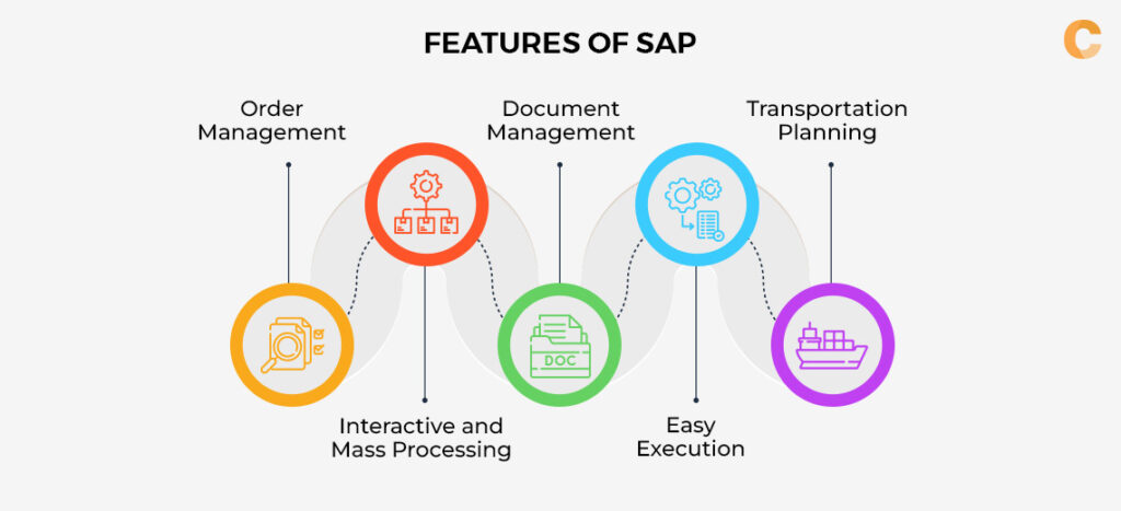 SAP Transportation Management: A Comprehensive Guide