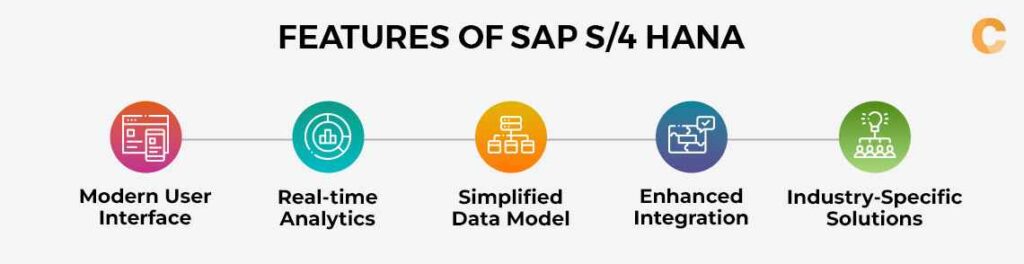 SAP Business Suite on HANA vs. SAP S/4HANA: Which is Right for You?