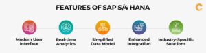 SAP Business Suite on HANA vs. SAP S/4HANA: Which is Right for You?