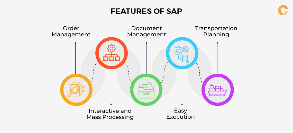 SAP Transportation Management: A Comprehensive Guide