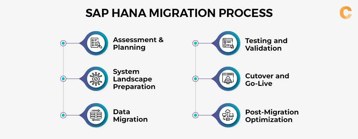 SAP Business Suite on HANA vs. SAP S/4HANA: Which is Right for You?