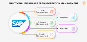 SAP Transportation Management: A Comprehensive Guide
