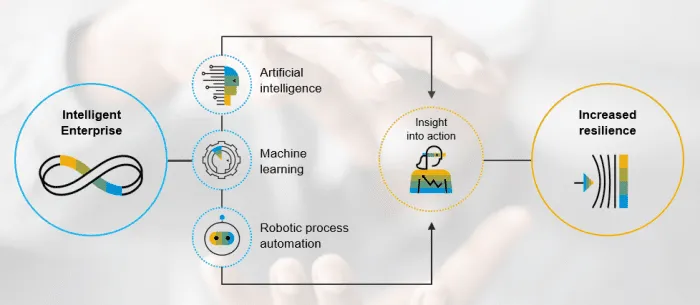 What is RISE with SAP? Finding the Right Fit for Your Business