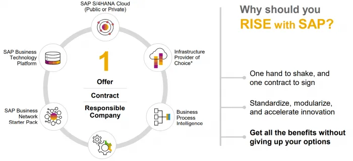 What is RISE with SAP? Finding the Right Fit for Your Business