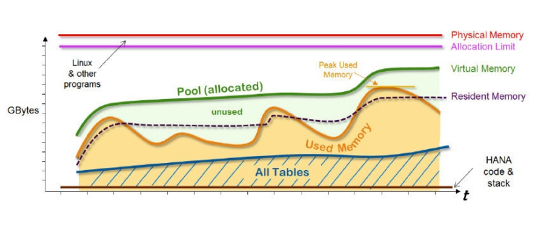 How to master memory management in SAP Hana - a simplified guide to ...